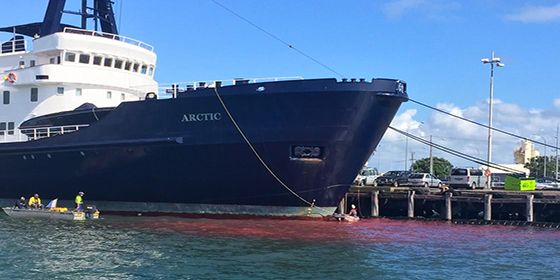 M/Y Arctic P Issued Warning in New Zealand